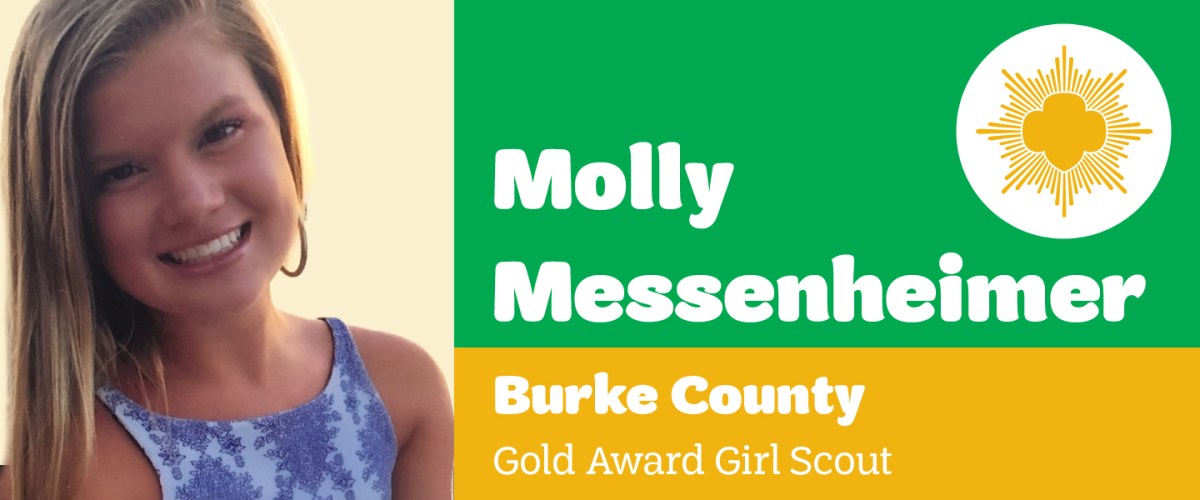 Molly Messenheimer Earns Girl Scouts Highest Honor – Blog