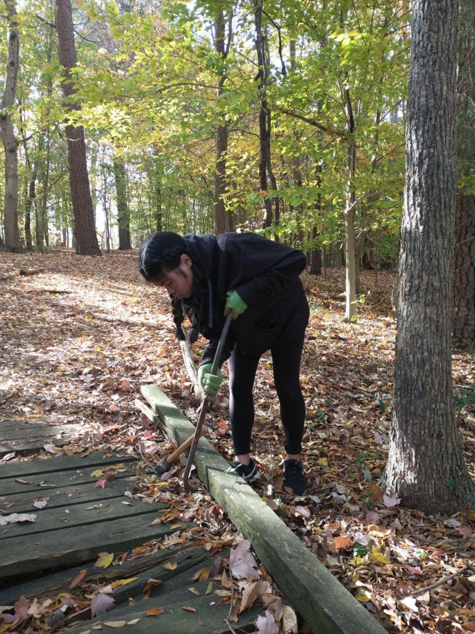 Creating a sustainable Nature Trail: A Girl Scout Gold Award Project – Blog