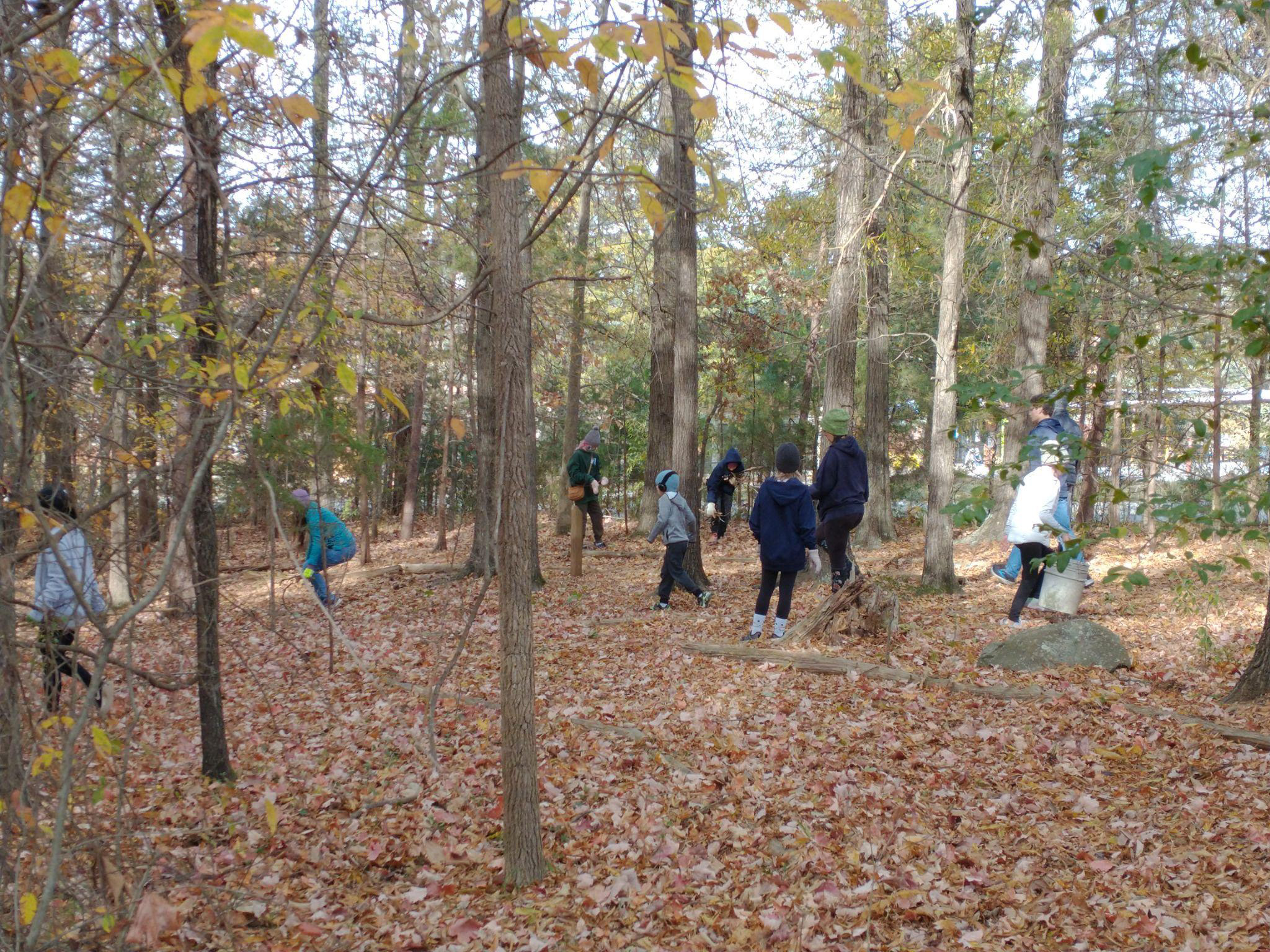 Creating a sustainable Nature Trail: A Girl Scout Gold Award Project – Blog