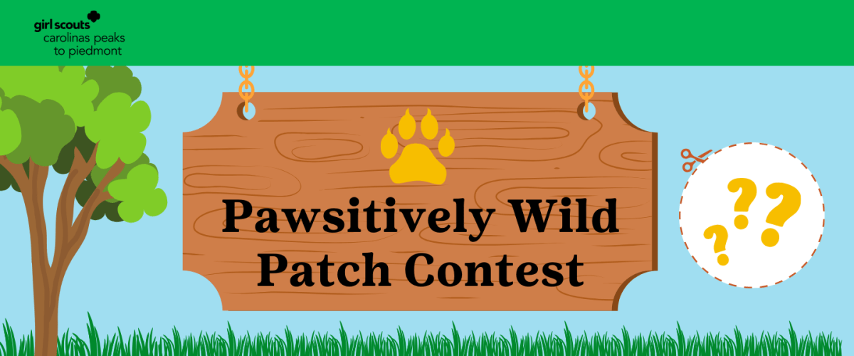 Pawsitively Wild Patch Design Contest and Nature Cat Partnership – Blog