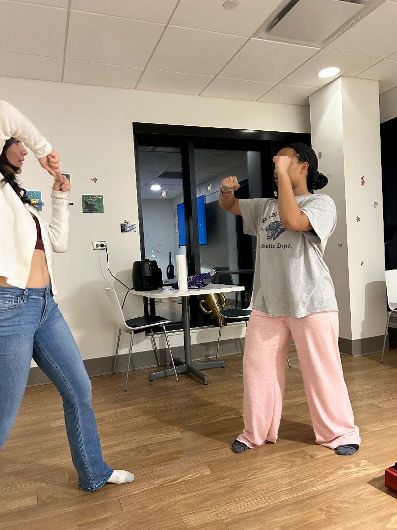 Self Defense Club: Morgan Emehel’s Girl Scout Gold Award Project – Blog