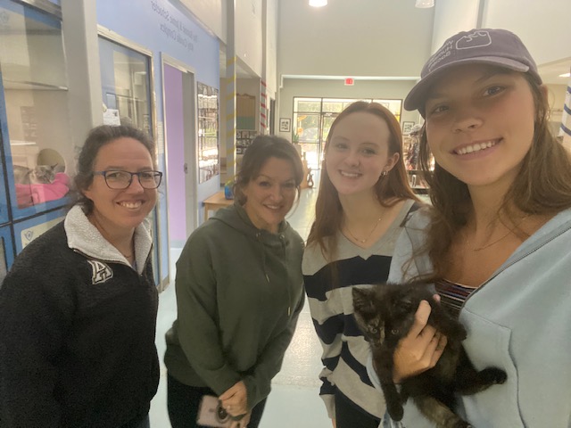 Sassy Cat Supporters: Sienna Davidson’s Girl Scout Gold Award Project ...